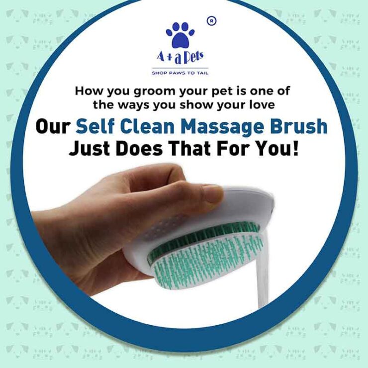 Our SMM Portfolio| Work Portfolio - Squirrel Wiz